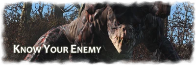 Enemy - Horizon Wiki