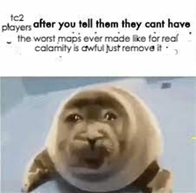 low qulaity tc2 meme | Fandom