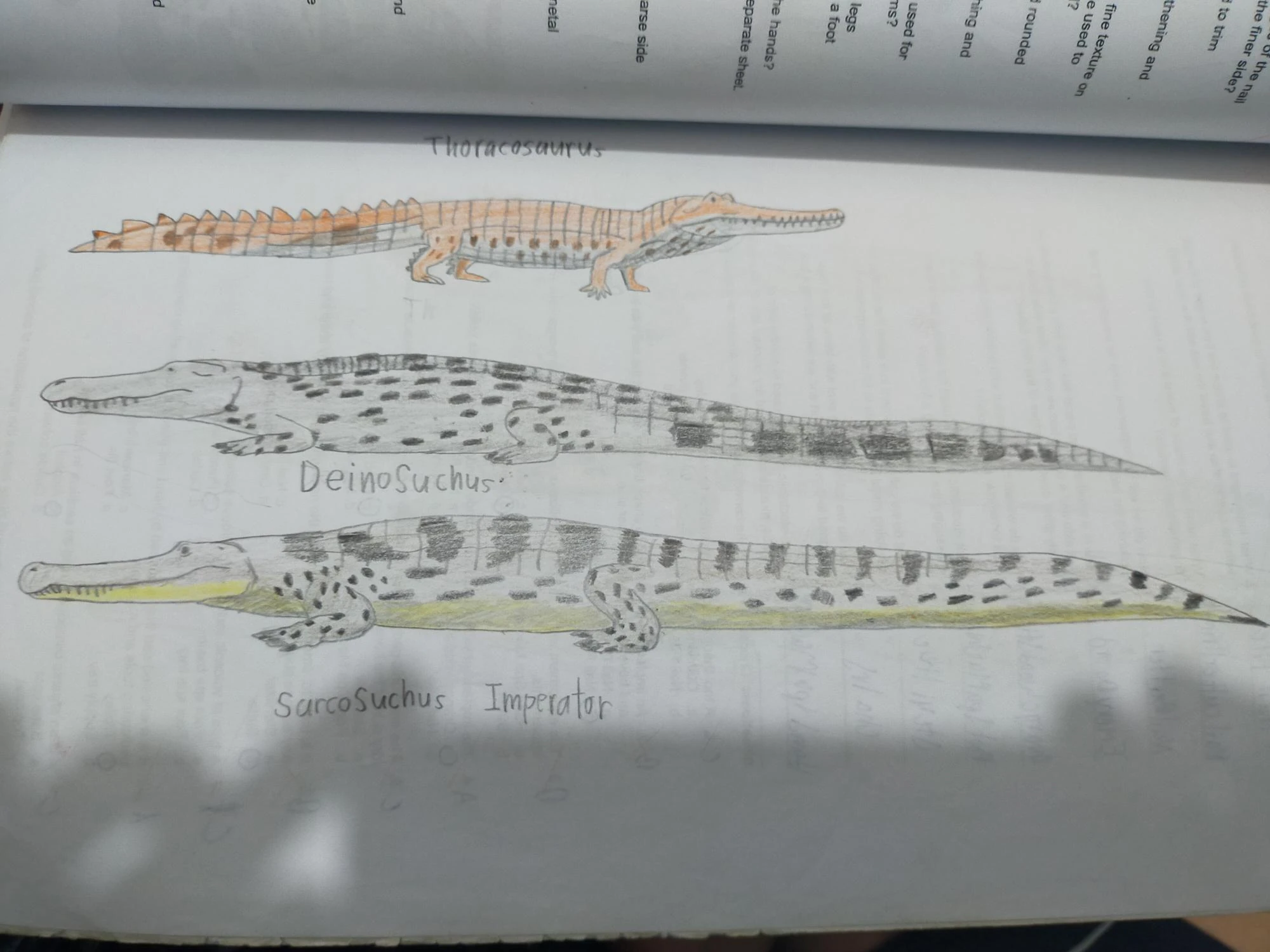 A new drawing yet again s prehistoric crocodile | Fandom