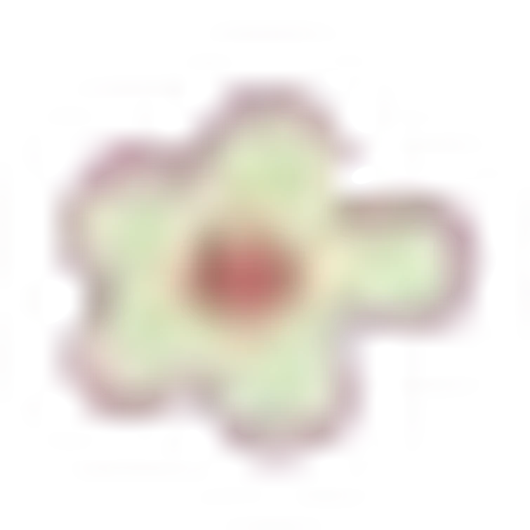 I made a collect ‘em all card base | Fandom