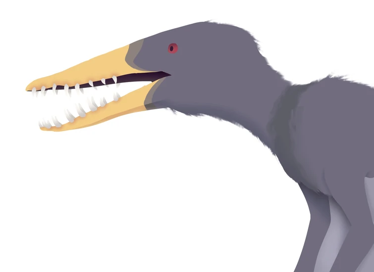 haopterus (drawn without an outline) bc yes | Fandom