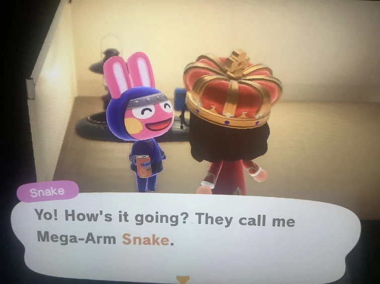 Discuss Everything About Animal Crossing Wiki | Fandom