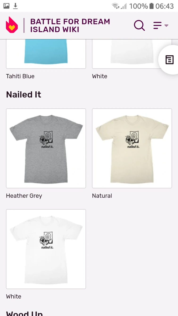 Ranking BfDI merch because I can't get any myself part 2: Premium merch ...