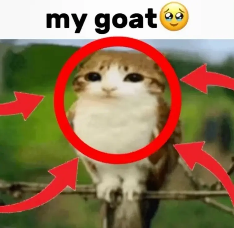 tweaked out over this line in the new beast yeast episode (tw: spoilers ...