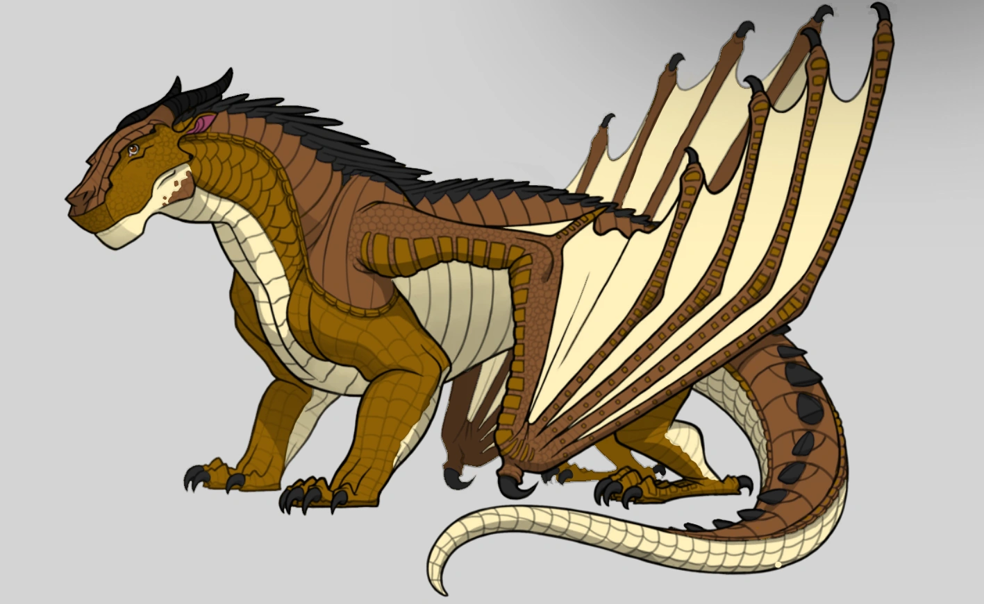 Anybody know how to edit joy ang bases? | Fandom