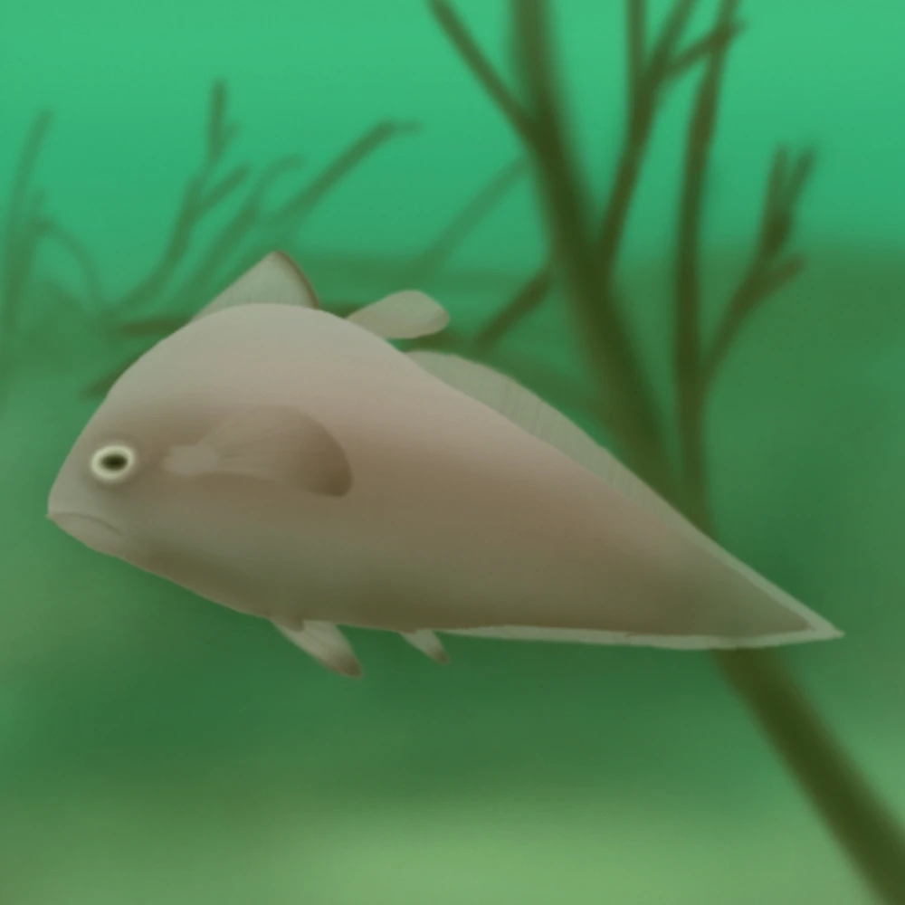 Allenypterus | Fandom