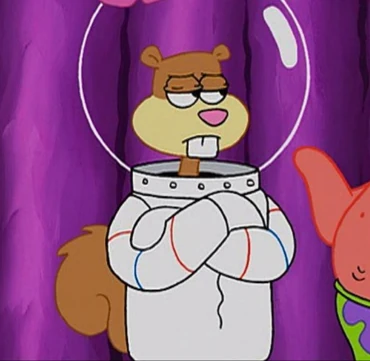 Which Of These Three Hero Wiki's Do You Think Fit Best For Sandy Cheeks ...