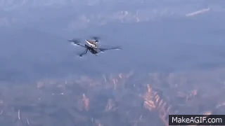 damn, this floating bug is such a wannabe | Fandom