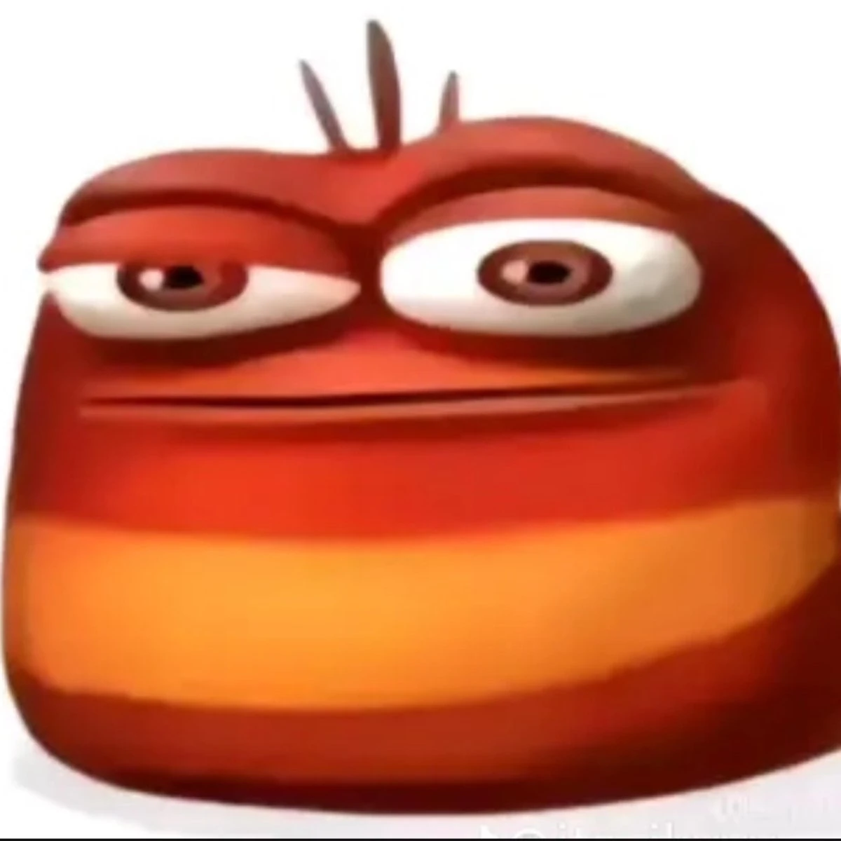 Oi Oi Oi red larva | Fandom