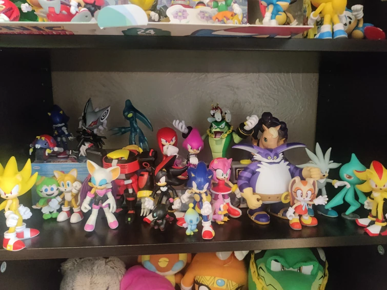 Sonic Display (: | Fandom