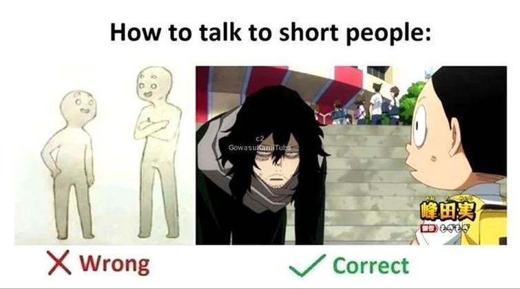 Memes of mha (and shipping chaos) | Fandom