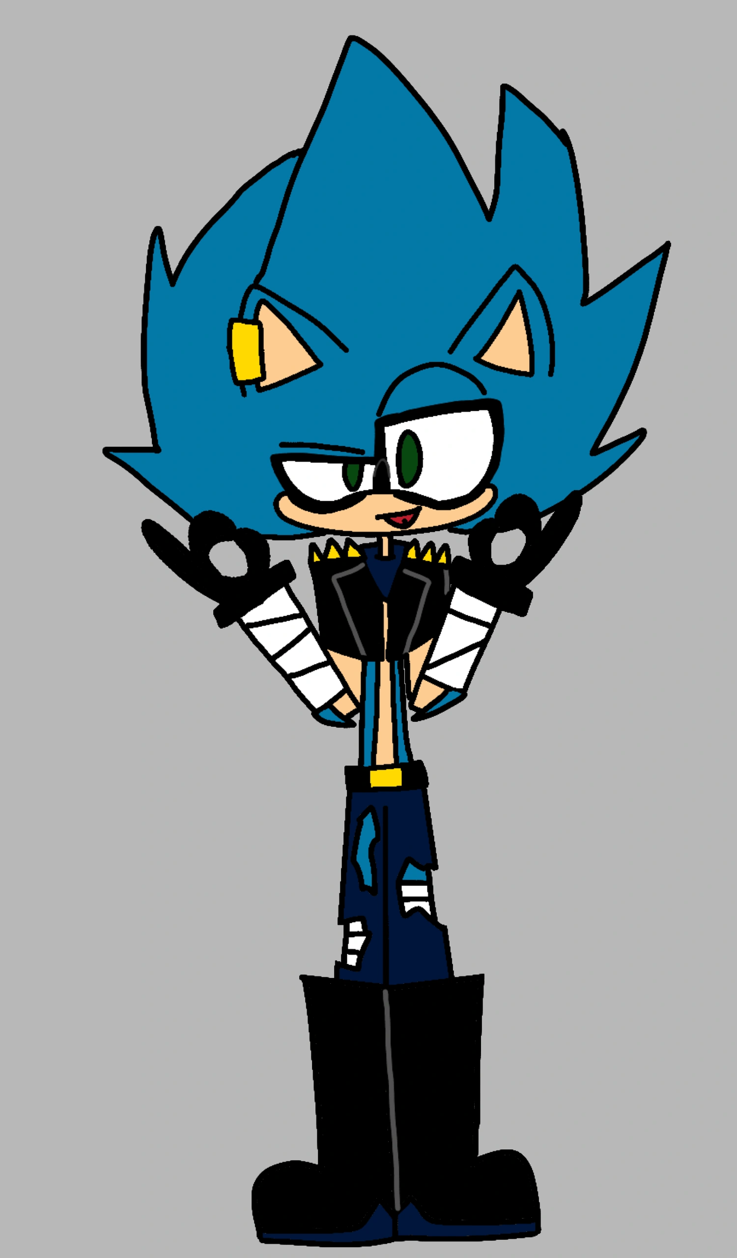 Punk Sonic | Fandom