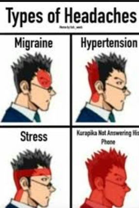 HxH memes | Fandom