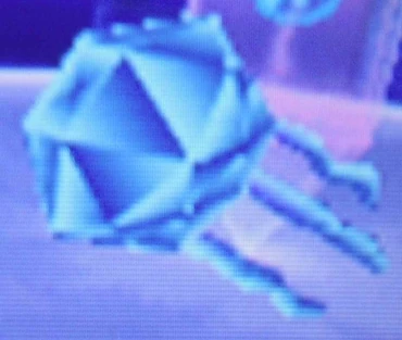 Discuss Everything About Encyclopedia SpongeBobia | Fandom