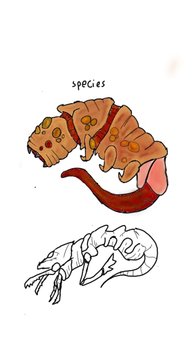 Fat flesh maggot | Fandom