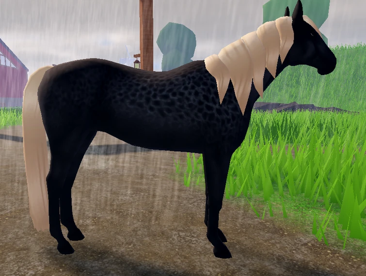 What color tack should i get for these horses? | Fandom