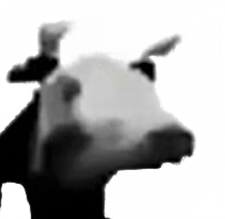 Another Bot Suggestion | Fandom