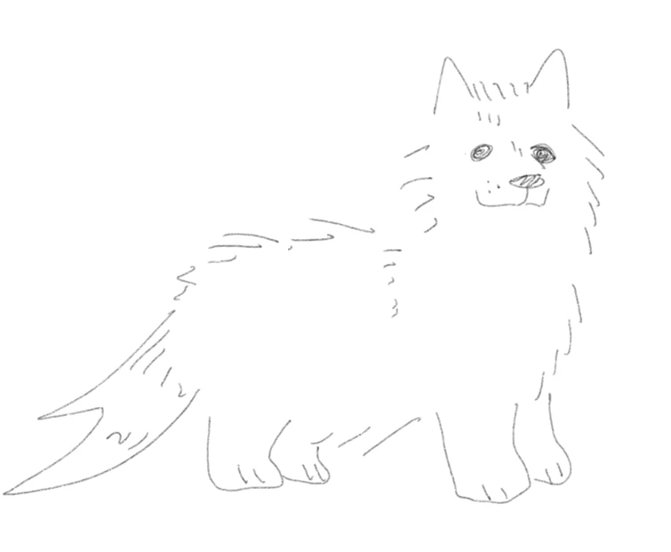 confession: idk who samo chan is | Fandom