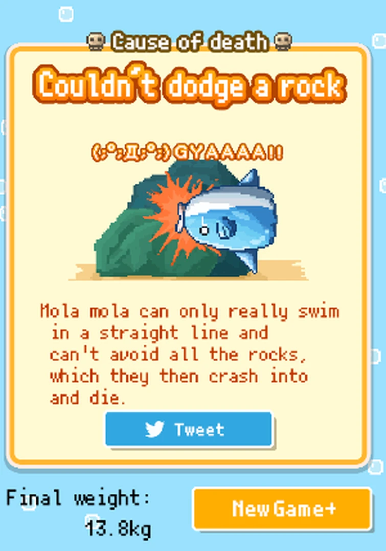Playing survive mola mola | Fandom