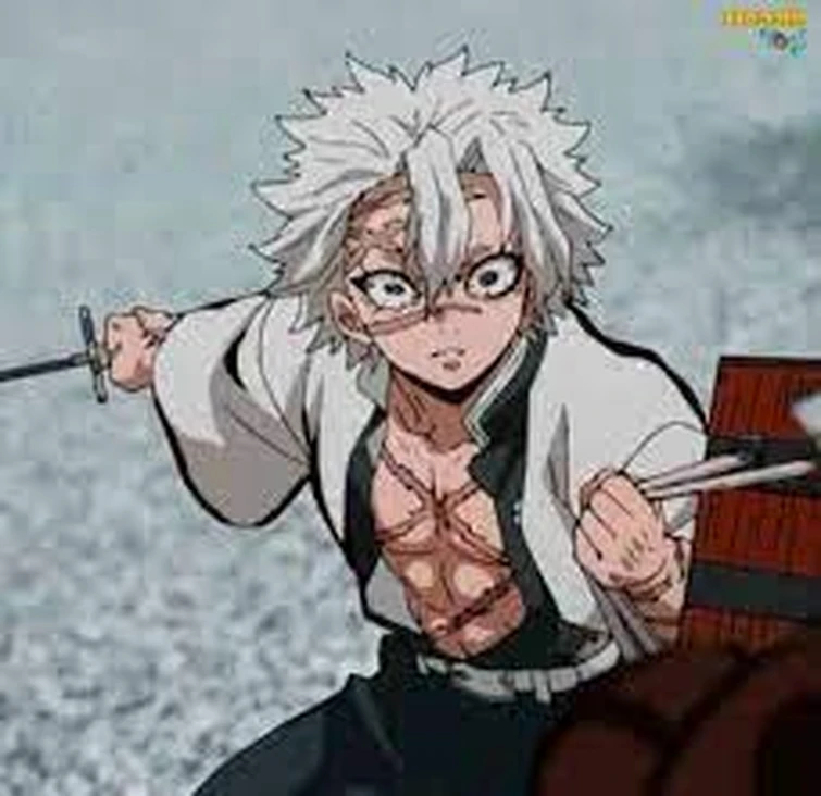 (Gale - Sudden Gusts) The ABA Sanemi Shinazugawa | Fandom