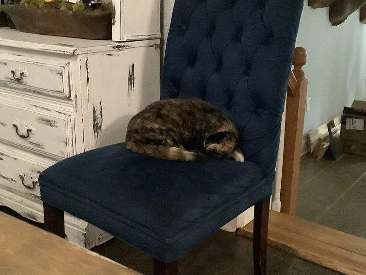 Look at the bebe | Fandom