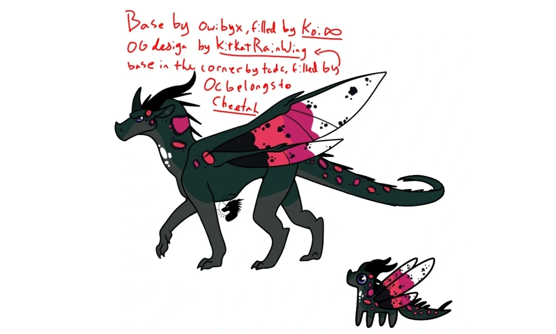Leopard Beetle Adopt, Literally! | Fandom