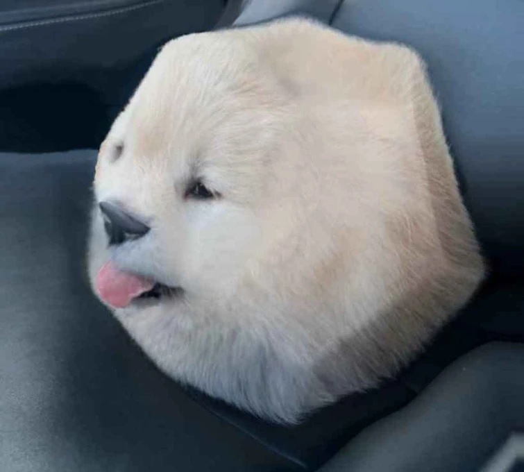 Gimme images for my discord pfp | Fandom