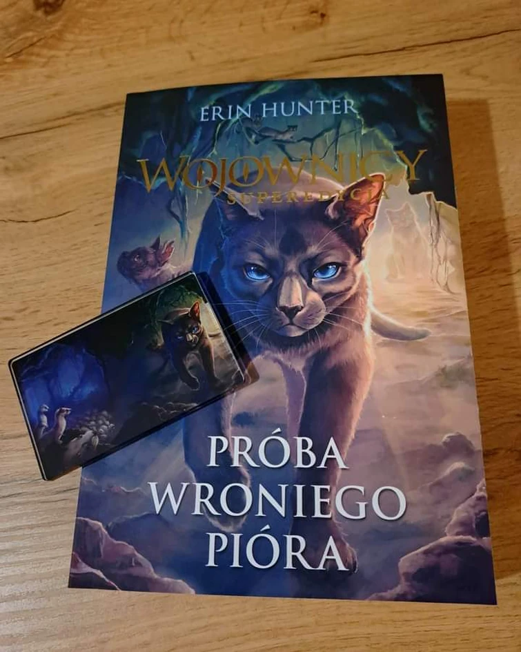 NB podała datę premiery PWP! | Fandom