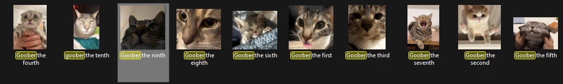 The Goober Guy | Fandom