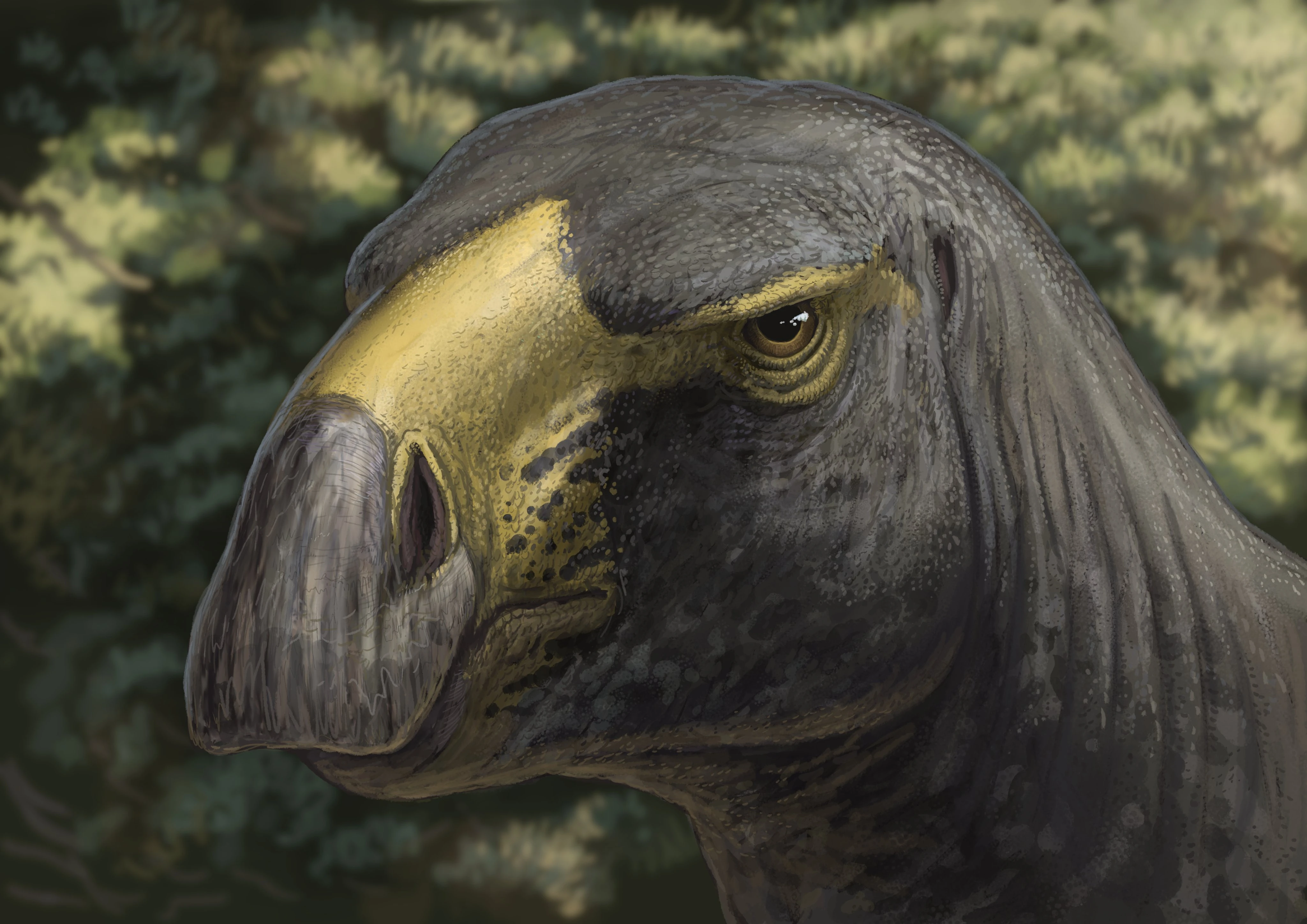 New Hadrosauroid | Fandom