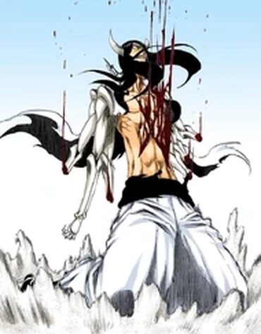 If Nel hadn’t reverted into child and hit Nnoitra with her lance would ...