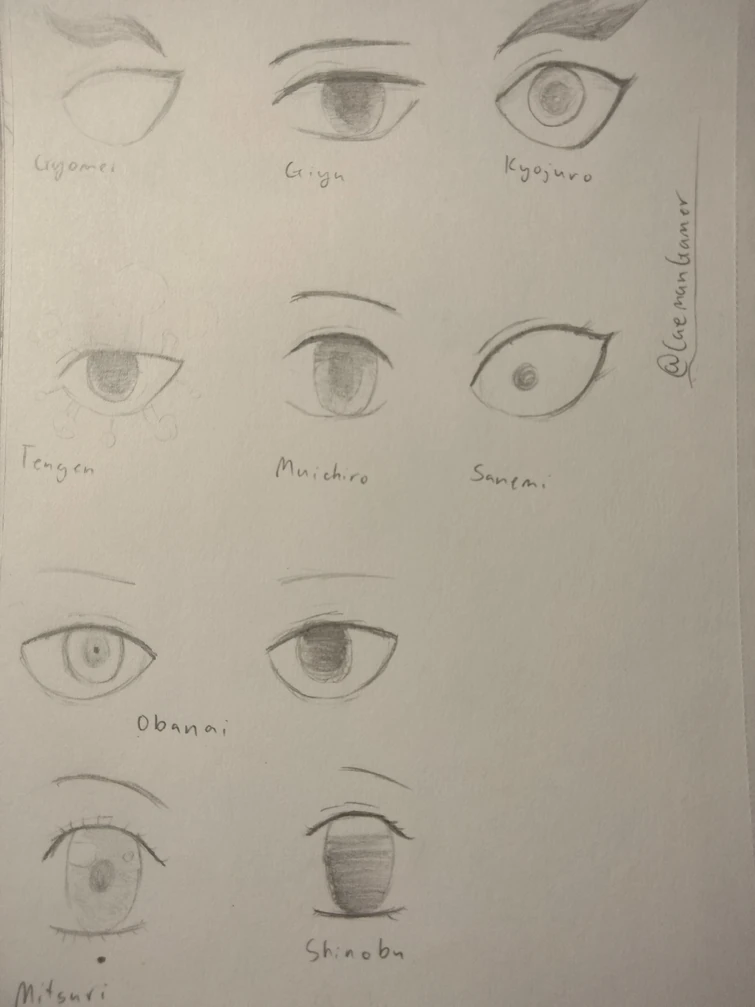 Hashira Eyes | Fandom