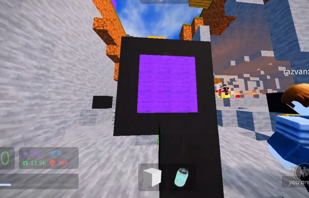 Someone in nn voxel made the minecraft portal with blocc | Fandom