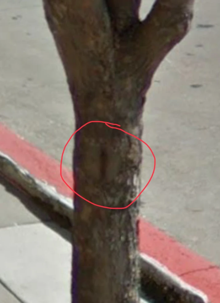 Discuss Everything About Gravity Falls Wiki | Fandom