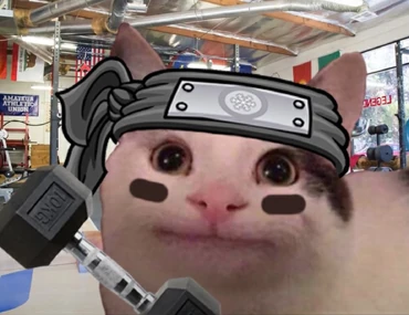 Best cat uwu | Fandom