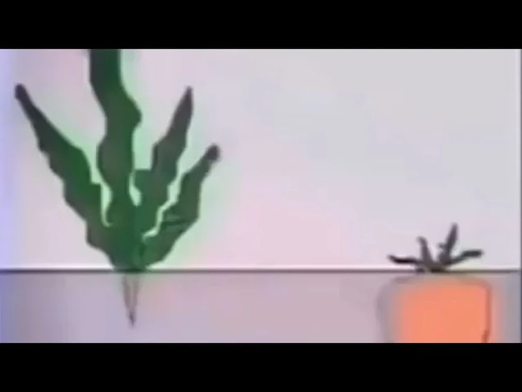Don’t think that carrot big because leaf big size | Fandom