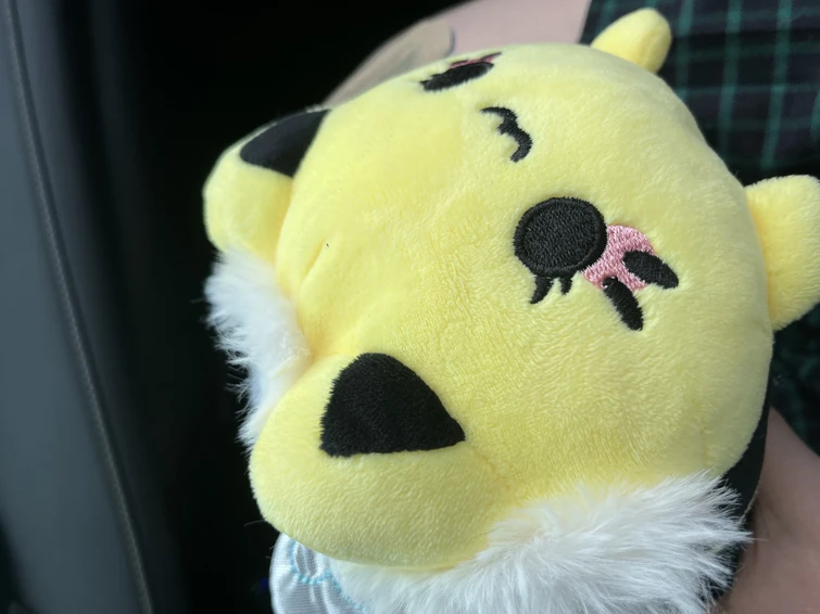 I got a bumblebee cat | Fandom