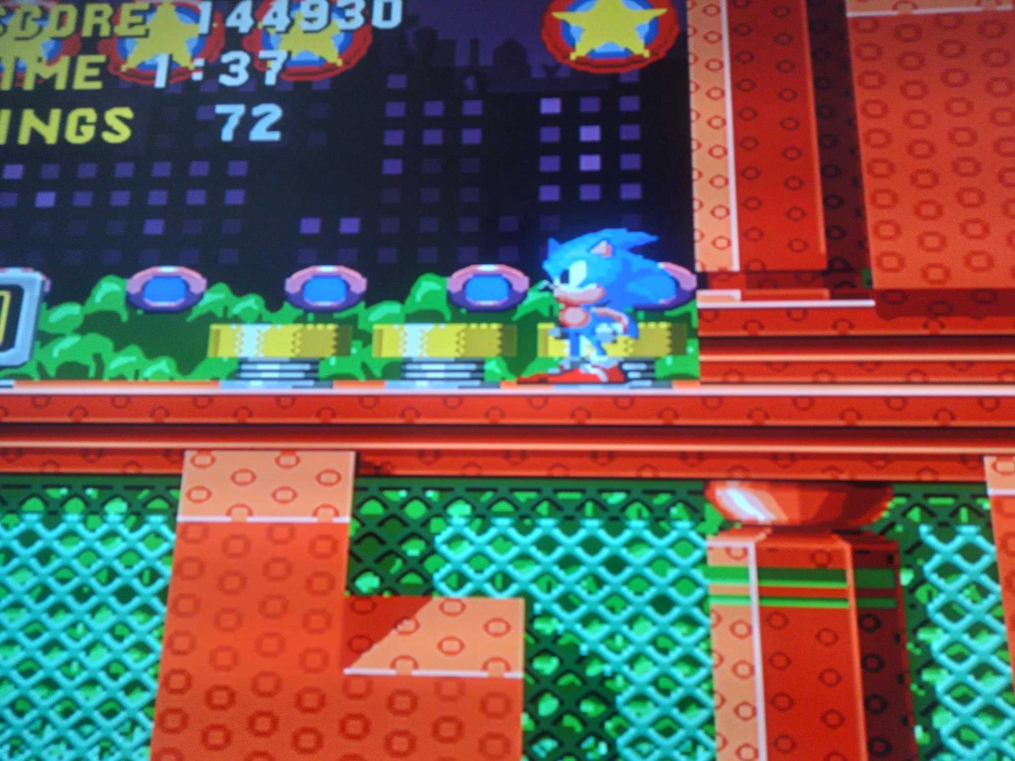 Bug in spring yard zone | Fandom