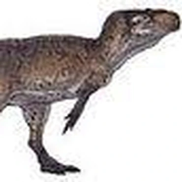 Discuss Everything About Dinopedia | Fandom