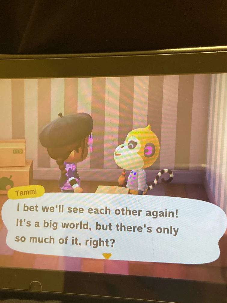 Discuss Everything About Animal Crossing Wiki | Fandom
