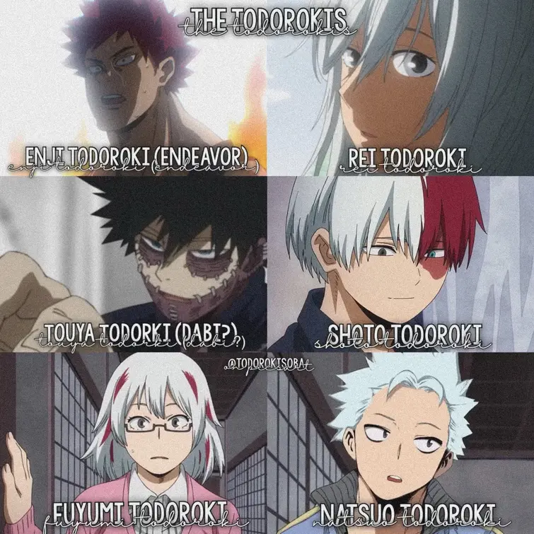 The Todoroki family💜 | Fandom