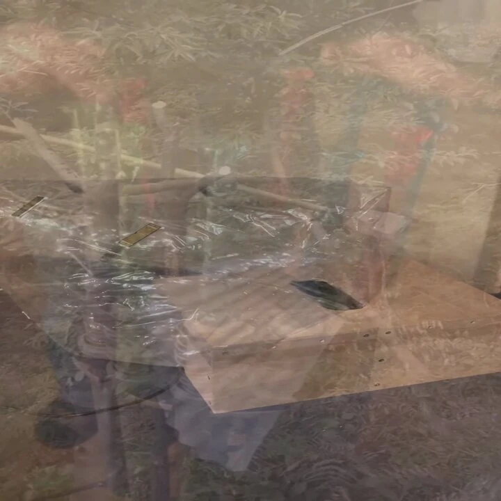 new glaggle post | Fandom