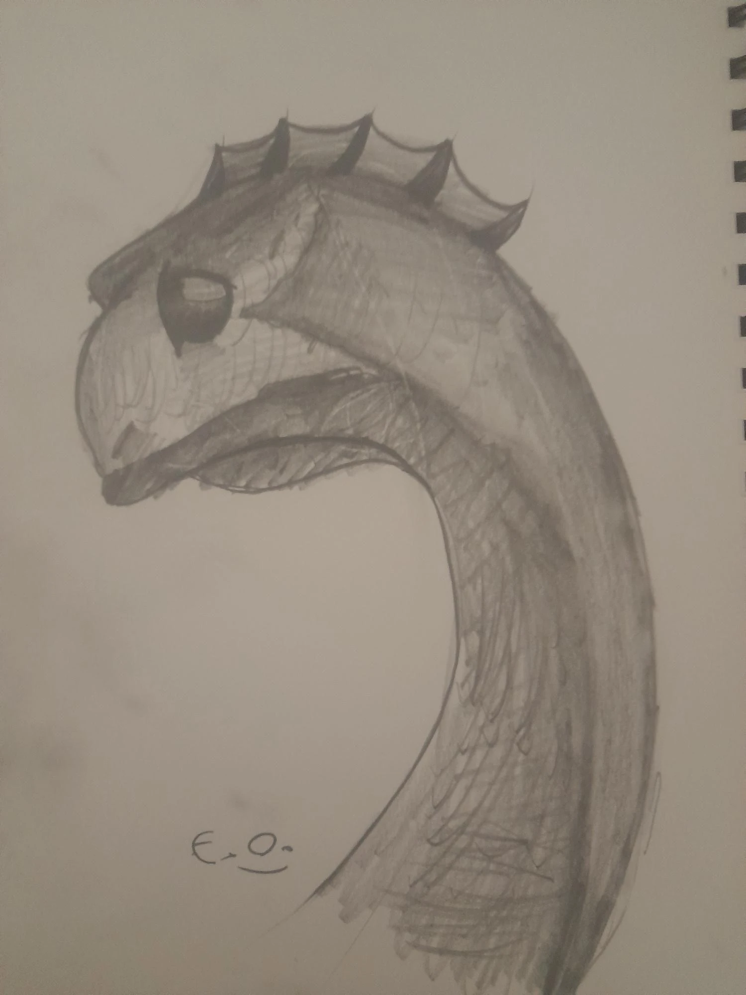 My sketch of a titanosaurus | Fandom