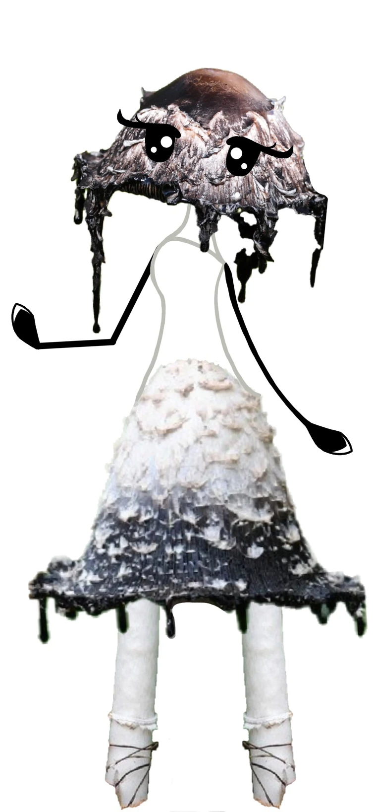 an i the only one who added hex codes for colors on a character page | Fandom