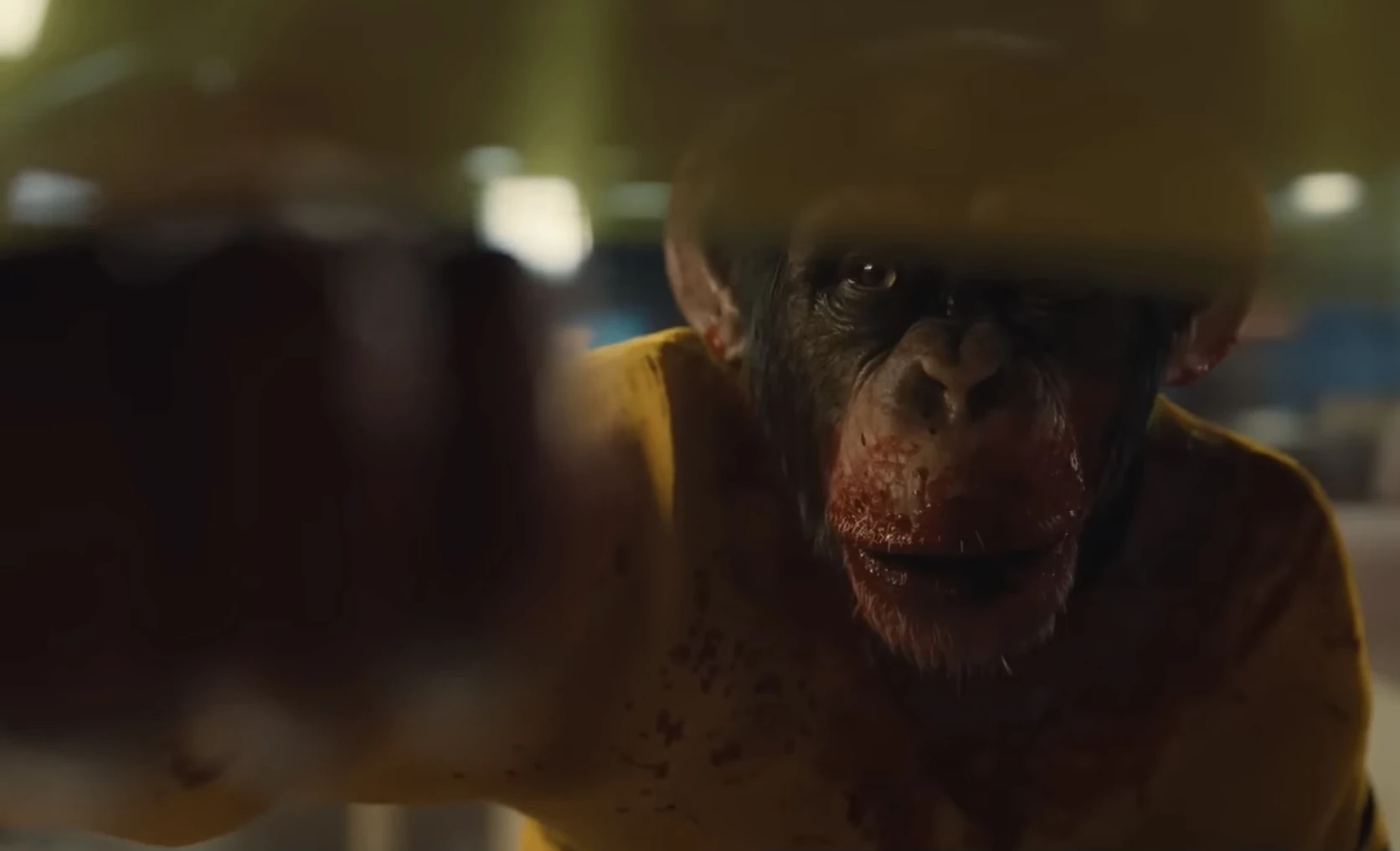 Just made a page for the monke from Nope, pretty cool | Fandom