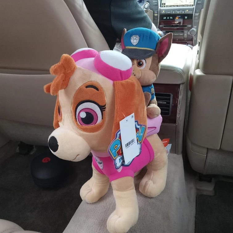 "Let's Take to The Sky!" | Fandom