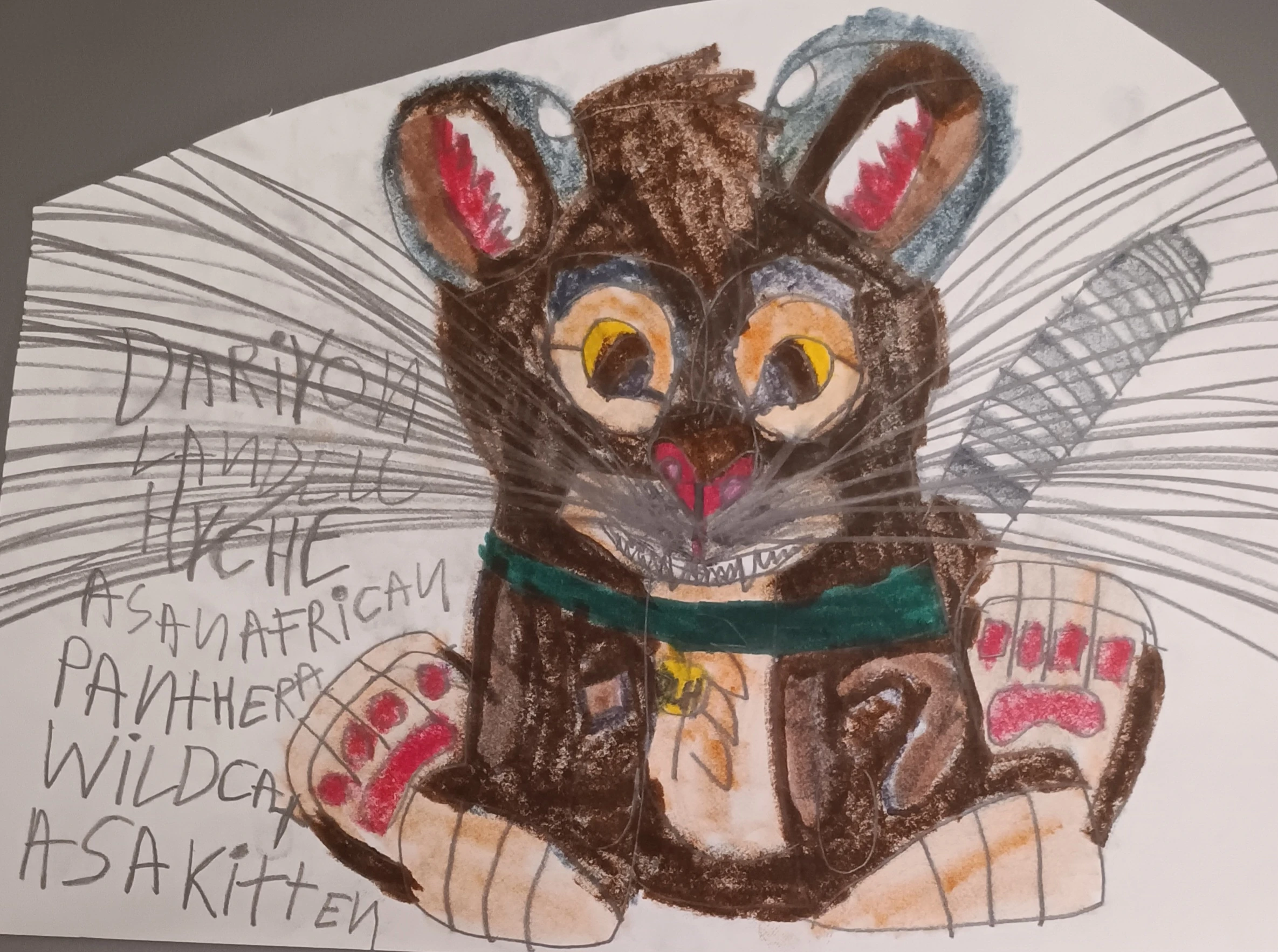 Me(Dariyon Landell Hyche) as Savannah X Bengal x Havana Brown x ...