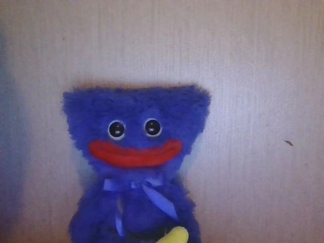 Face Reveal | Fandom