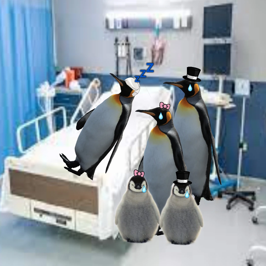 Penguin visits sick mom (very sad) | Fandom