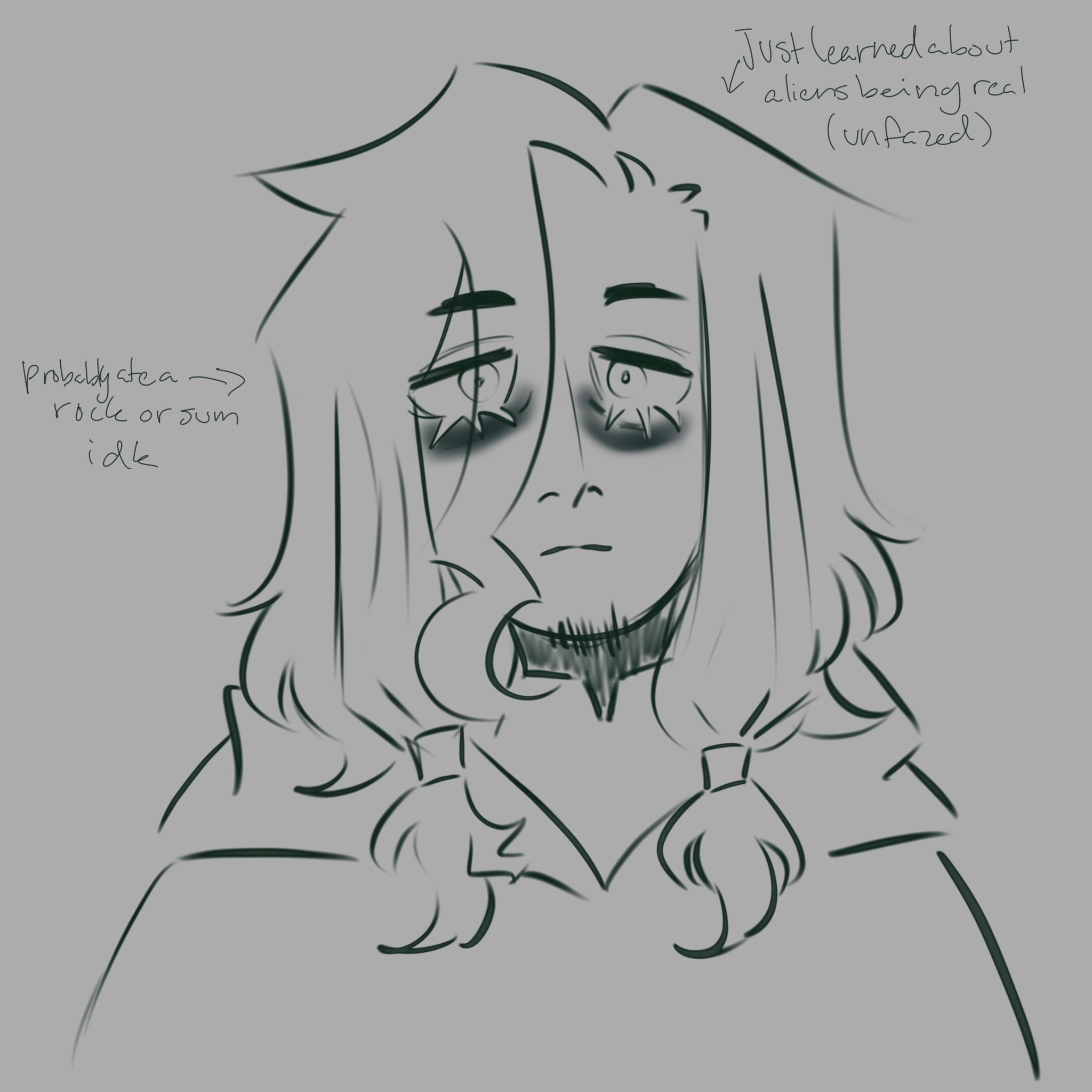I doodled my friends oc, fern cookie | Fandom